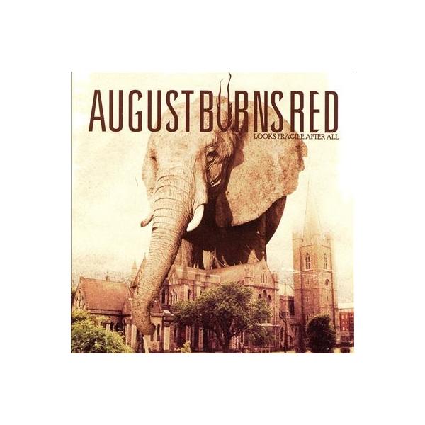 【発売日：2022年07月15日】ご注文後のキャンセル・返品は承れません。発売日:2022年07月15日/商品ID:2240043/ジャンル:ROCK/POP/フォーマット:LP/構成数:1/レーベル:CI Records/アーティスト:A...