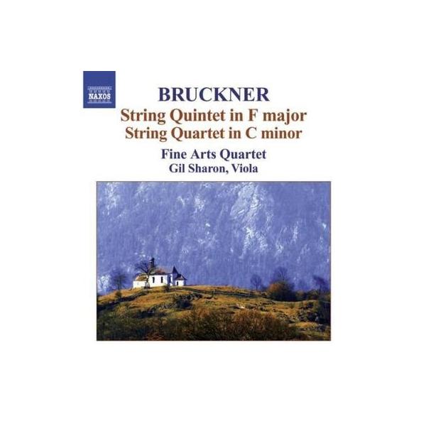 【発売日：2009年02月24日】ご注文後のキャンセル・返品は承れません。発売日:2009年02月24日/商品ID:2509741/ジャンル:CLASSICAL/フォーマット:CD/構成数:1/レーベル:Naxos/アーティスト:ファイン・...