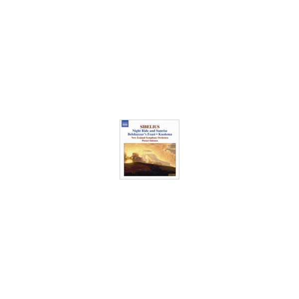 【発売日：2009年02月24日】ご注文後のキャンセル・返品は承れません。発売日:2009年02月24日/商品ID:2509748/ジャンル:CLASSICAL/フォーマット:CD/構成数:1/レーベル:Naxos/アーティスト:ニュージー...