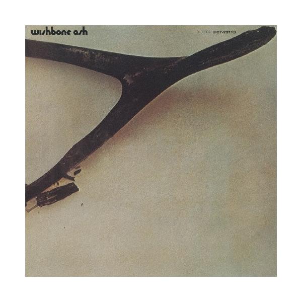 【発売日：2010年12月22日】ご注文後のキャンセル・返品は承れません。priy10発売日:2010年12月22日/商品ID:2806102/ジャンル:ROCK/POP/フォーマット:SHM-CD/構成数:1/レーベル:Geffen/アー...