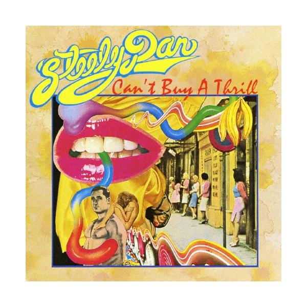 【発売日：2010年12月22日】ご注文後のキャンセル・返品は承れません。priy10発売日:2010年12月22日/商品ID:2806111/ジャンル:ROCK/POP/フォーマット:SHM-CD/構成数:1/レーベル:Geffen/アー...