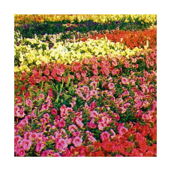 【発売日：2011年05月18日】ご注文後のキャンセル・返品は承れません。発売日:2011年05月18日/商品ID:2852759/ジャンル:ROCK/POP/フォーマット:CD/構成数:1/レーベル:よしもとアール・アンド・シー/アーティ...