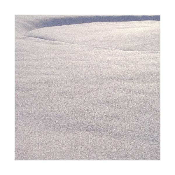 【発売日：2011年09月07日】ご注文後のキャンセル・返品は承れません。発売日:2011年09月07日/商品ID:2906950/ジャンル:J-POP/フォーマット:CD/構成数:1/レーベル:Muttnik/アーティスト:Laika C...