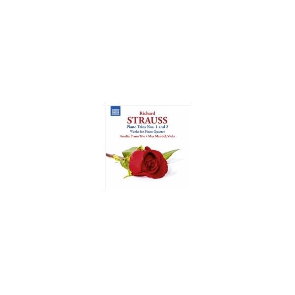 【発売日：2011年11月15日】ご注文後のキャンセル・返品は承れません。発売日:2011年11月15日/商品ID:2936757/ジャンル:CLASSICAL/フォーマット:CD/構成数:1/レーベル:Naxos/アーティスト:Ameli...