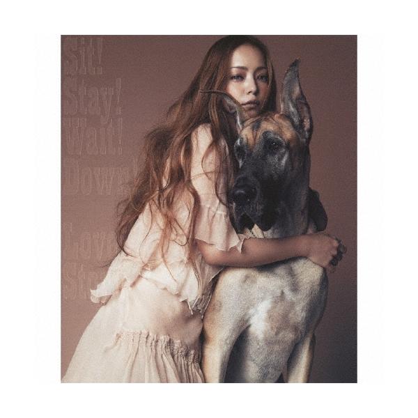 【発売日：2011年12月07日】ご注文後のキャンセル・返品は承れません。発売日:2011年12月07日/商品ID:2996783/ジャンル:J-POP/フォーマット:12cmCD Single/構成数:1/レーベル:avex trax/ア...