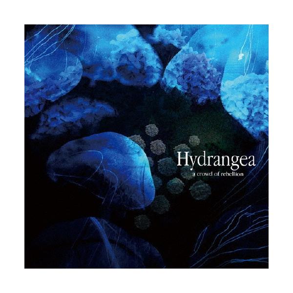 【発売日：2012年02月08日】ご注文後のキャンセル・返品は承れません。発売日:2012年02月08日/商品ID:3037157/ジャンル:J-POP/フォーマット:CD/構成数:1/レーベル:DROP ""C"" RECORDS/アーテ...