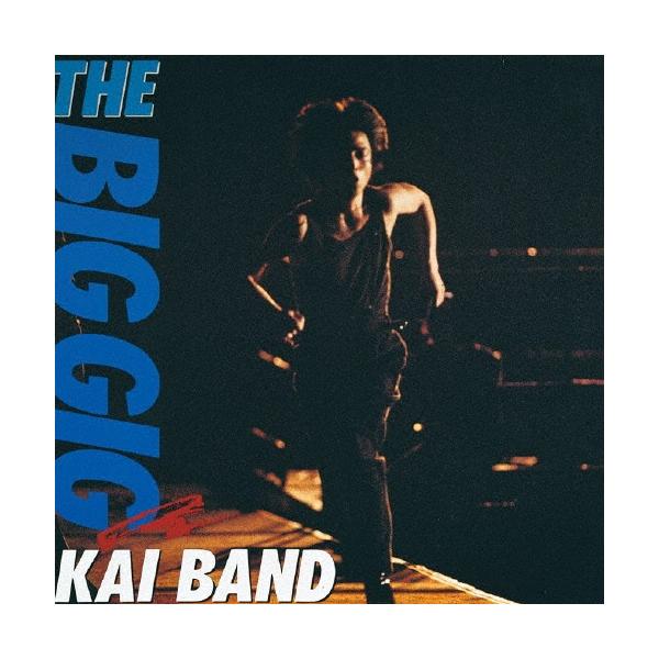 【発売日：2013年03月27日】ご注文後のキャンセル・返品は承れません。発売日:2013年03月27日/商品ID:3206097/ジャンル:J-POP/フォーマット:SHM-CD/構成数:2/レーベル:UNIVERSAL MUSIC/アー...