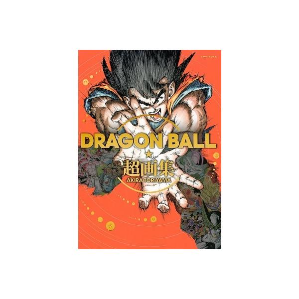 【発売日：2013年05月09日】ご注文後のキャンセル・返品は承れません。発売日:2013年05月09日/商品ID:3253668/ジャンル:DOMESTIC BOOKS/フォーマット:COMIC/構成数:1/レーベル:集英社/アーティスト...