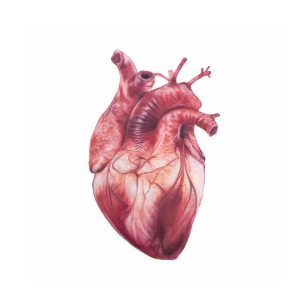 【発売日：2013年08月21日】ご注文後のキャンセル・返品は承れません。発売日:2013年08月21日/商品ID:3266177/ジャンル:J-POP/フォーマット:CD/構成数:1/レーベル:IKKI NOT DEAD/アーティスト:k...