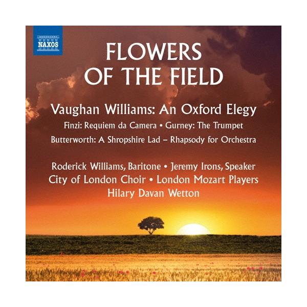 【発売日：2014年12月23日】ご注文後のキャンセル・返品は承れません。発売日:2014年12月23日/商品ID:3737024/ジャンル:CLASSICAL/フォーマット:CD/構成数:1/レーベル:Naxos/アーティスト:ヒラリー・...