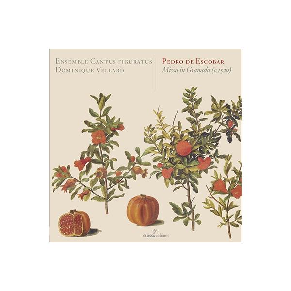 【発売日：2015年03月20日】ご注文後のキャンセル・返品は承れません。発売日:2015年03月20日/商品ID:3809836/ジャンル:CLASSICAL/フォーマット:CD/構成数:1/レーベル:Glossa Cabinet/アーテ...