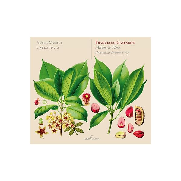 【発売日：2015年06月18日】ご注文後のキャンセル・返品は承れません。発売日:2015年06月18日/商品ID:3895582/ジャンル:CLASSICAL/フォーマット:CD/構成数:1/レーベル:Glossa Cabinet/アーテ...