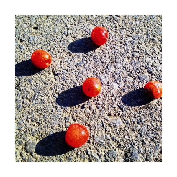 【発売日：2015年11月25日】ご注文後のキャンセル・返品は承れません。発売日:2015年11月25日/商品ID:4015804/ジャンル:J-POP/フォーマット:CD/構成数:1/レーベル:P-VINE/アーティスト:Daniel K...