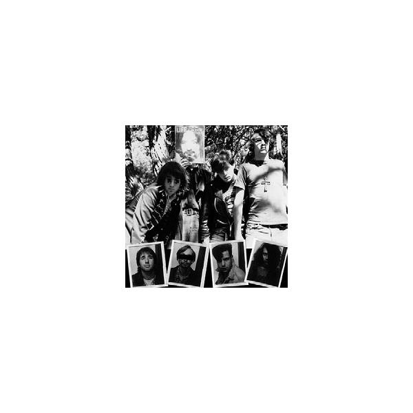 【発売日：2020年02月29日】ご注文後のキャンセル・返品は承れません。発売日:2020年02月中旬/商品ID:4172391/ジャンル:ROCK/POP/フォーマット:CD/構成数:1/レーベル:Dwarves/アーティスト:Dwarv...