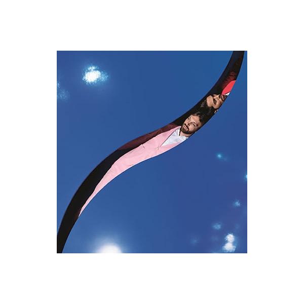 【発売日：2016年02月12日】ご注文後のキャンセル・返品は承れません。発売日:2016年02月12日/商品ID:4187054/ジャンル:SOUL/CLUB/RAP/フォーマット:CD/構成数:1/レーベル:Because/アーティスト...