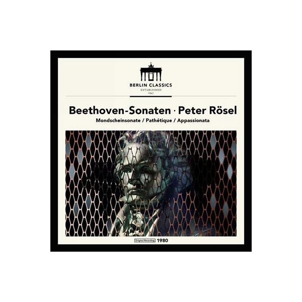 【発売日：2016年07月10日】ご注文後のキャンセル・返品は承れません。発売日:2016年07月10日/商品ID:4296585/ジャンル:CLASSICAL/フォーマット:CD/構成数:1/レーベル:Berlin Classics/アー...