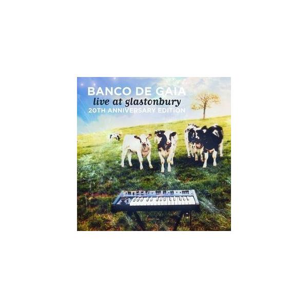 【発売日：2020年09月04日】ご注文後のキャンセル・返品は承れません。発売日:2020年09月04日/商品ID:4303096/ジャンル:ROCK/POP/フォーマット:CD/構成数:1/レーベル:Disco Gecko/アーティスト:...