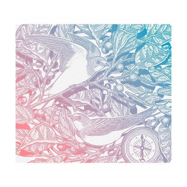 【発売日：2016年10月19日】ご注文後のキャンセル・返品は承れません。発売日:2016年10月19日/商品ID:4351673/ジャンル:J-POP/フォーマット:CD/構成数:1/レーベル:FABTONE/アーティスト:sow/アーテ...