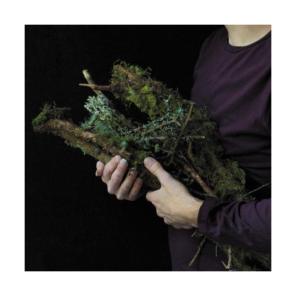 【発売日：2016年11月11日】ご注文後のキャンセル・返品は承れません。発売日:2016年11月11日/商品ID:4362955/ジャンル:JAZZ/フォーマット:CD/構成数:1/レーベル:Lirico/アーティスト:Gareth Di...