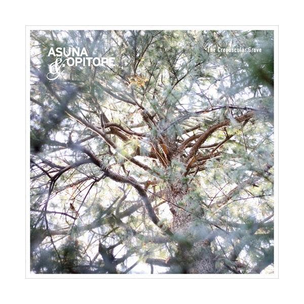 【発売日：2016年11月16日】ご注文後のキャンセル・返品は承れません。発売日:2016年11月16日/商品ID:4363016/ジャンル:JAZZ/フォーマット:CD/構成数:1/レーベル:White Paddy Mountain/アー...