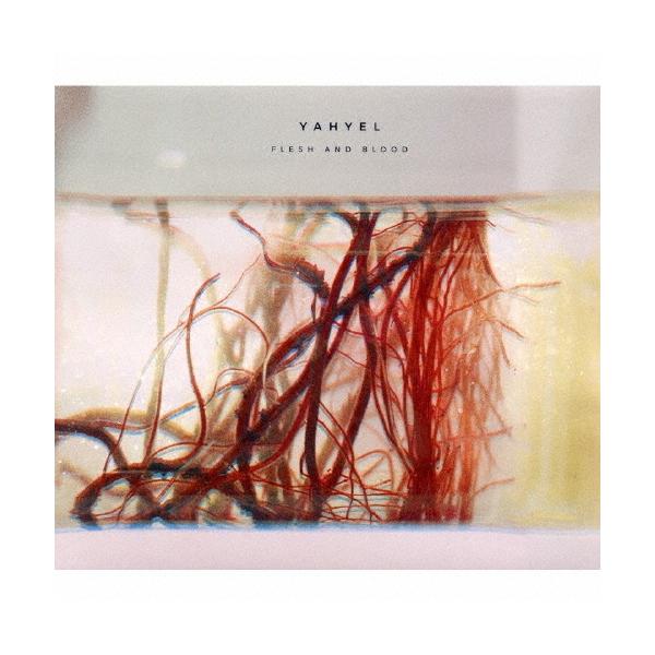 【発売日：2016年11月23日】ご注文後のキャンセル・返品は承れません。発売日:2016年11月23日/商品ID:4366338/ジャンル:J-POP/フォーマット:CD/構成数:1/レーベル:BEAT RECORDS/アーティスト:ya...