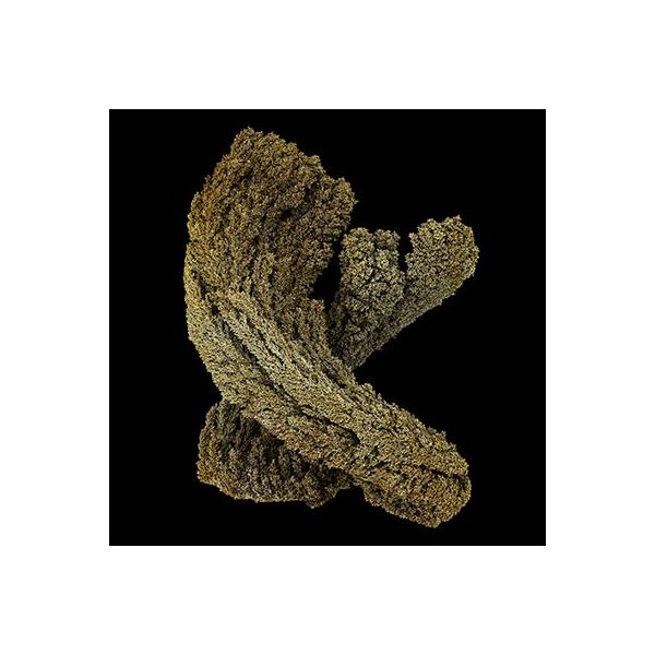 【発売日：2016年11月25日】ご注文後のキャンセル・返品は承れません。発売日:2016年11月25日/商品ID:4369686/ジャンル:SOUL/CLUB/RAP/フォーマット:CD/構成数:1/レーベル:Mesh Records/ア...