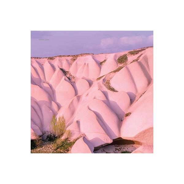 【発売日：2016年11月11日】ご注文後のキャンセル・返品は承れません。発売日:2016年11月中旬/商品ID:4370360/ジャンル:SOUL/CLUB/RAP/フォーマット:LP/構成数:2/レーベル:Warp Records/アー...