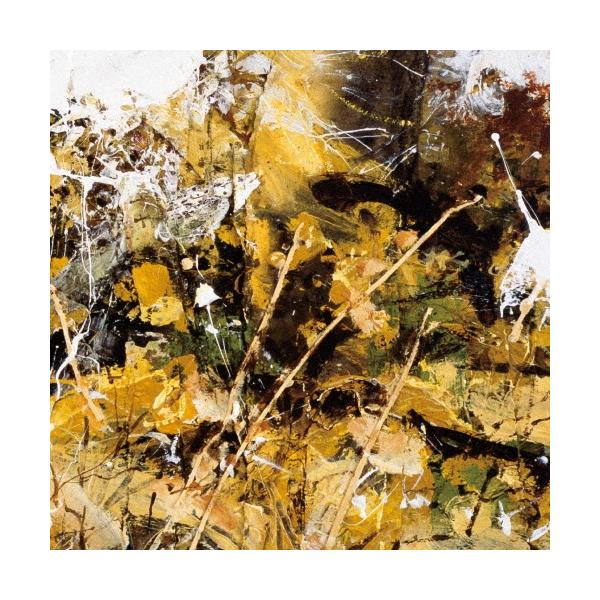 【発売日：2017年03月15日】ご注文後のキャンセル・返品は承れません。発売日:2017年03月15日/商品ID:4423400/ジャンル:JAZZ/フォーマット:CD/構成数:1/レーベル:Guf/Salvaged Tapes Reco...