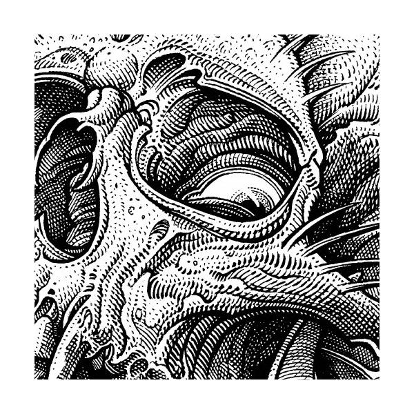 【発売日：2017年03月08日】ご注文後のキャンセル・返品は承れません。発売日:2017年03月08日/商品ID:4433590/ジャンル:J-POP/フォーマット:12cmCD Single/構成数:2/レーベル:MAXIMUM10/ア...