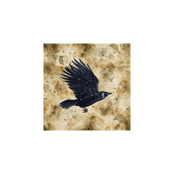 【発売日：2024年06月21日】ご注文後のキャンセル・返品は承れません。発売日:2024年06月21日/商品ID:4464984/ジャンル:ROCK/POP/フォーマット:CD/構成数:1/レーベル:Big Big Train/アーティス...