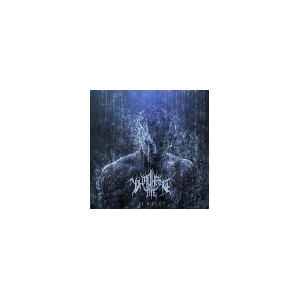 【発売日：2017年04月21日】ご注文後のキャンセル・返品は承れません。発売日:2017年04月21日/商品ID:4465010/ジャンル:ROCK/POP/フォーマット:CD/構成数:1/レーベル:Emp/アーティスト:Your Cha...