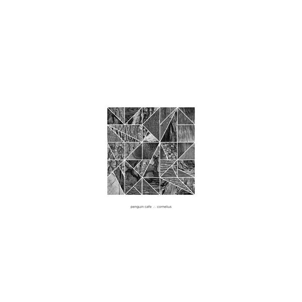 【発売日：2017年04月20日】ご注文後のキャンセル・返品は承れません。発売日:2017年04月20日/商品ID:4478707/ジャンル:JAZZ/フォーマット:LP/構成数:1/レーベル:Erased Tapes/アーティスト:Pen...