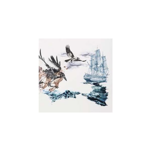 【発売日：2017年05月20日】ご注文後のキャンセル・返品は承れません。発売日:2017年05月20日/商品ID:4484374/ジャンル:ROCK/POP/フォーマット:CD/構成数:1/レーベル:Constellation/アーティス...