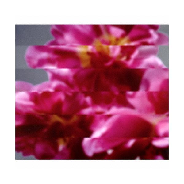 【発売日：2017年06月07日】ご注文後のキャンセル・返品は承れません。発売日:2017年06月07日/商品ID:4491253/ジャンル:J-POP/フォーマット:CD/構成数:2/レーベル:cutting edge/アーティスト:Mo...