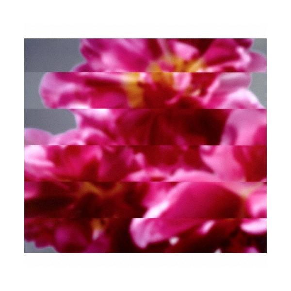 【発売日：2017年06月07日】ご注文後のキャンセル・返品は承れません。発売日:2017年06月07日/商品ID:4491254/ジャンル:J-POP/フォーマット:CD/構成数:1/レーベル:cutting edge/アーティスト:Mo...