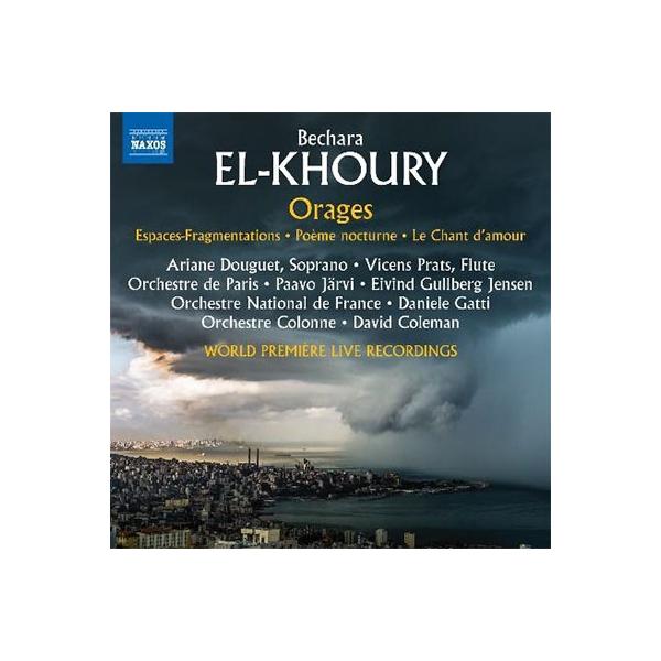 【発売日：2017年06月23日】ご注文後のキャンセル・返品は承れません。発売日:2017年06月23日/商品ID:4517225/ジャンル:CLASSICAL/フォーマット:CD/構成数:1/レーベル:Naxos/アーティスト:パーヴォ・...