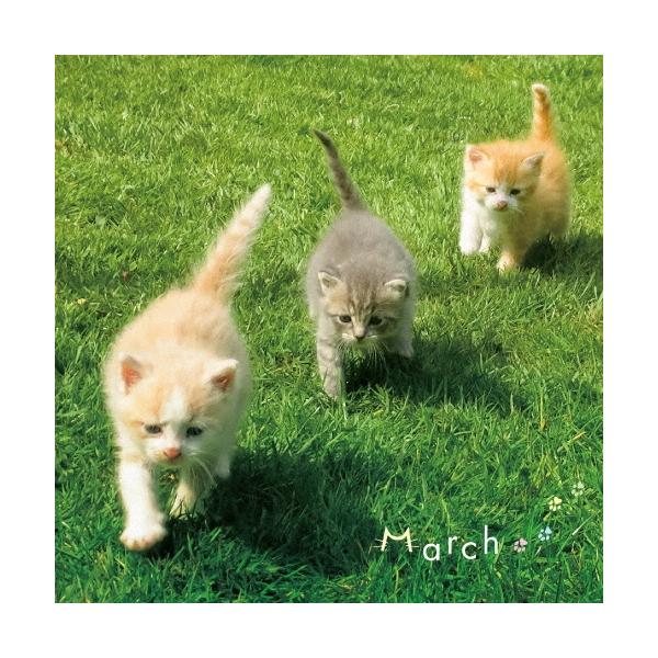 【発売日：2017年08月23日】ご注文後のキャンセル・返品は承れません。発売日:2017年08月23日/商品ID:4541603/ジャンル:CLASSICAL/フォーマット:CD/構成数:1/レーベル:Warner Classics/タイ...