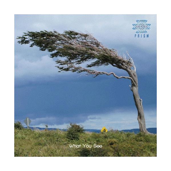 【発売日：2017年09月20日】ご注文後のキャンセル・返品は承れません。発売日:2017年09月20日/商品ID:4555584/ジャンル:JAZZ/フォーマット:CD/構成数:1/レーベル:BEAT ON BEAT/アーティスト:PRI...