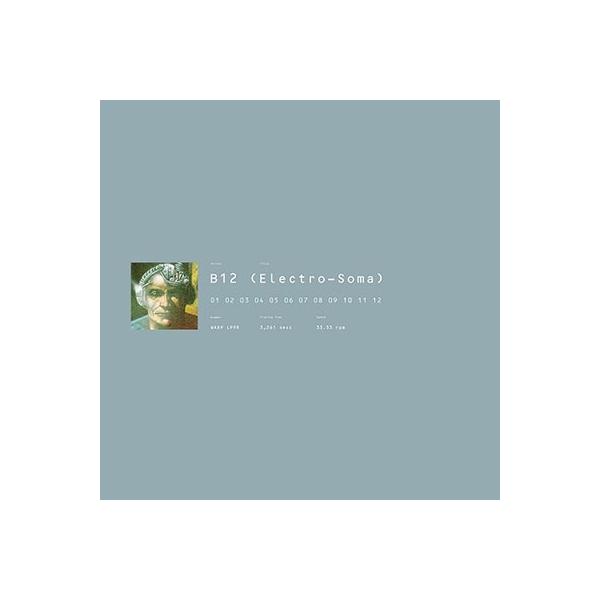 【発売日：2017年09月07日】ご注文後のキャンセル・返品は承れません。発売日:2017年09月07日/商品ID:4565609/ジャンル:SOUL/CLUB/RAP/フォーマット:LP/構成数:2/レーベル:Warp Records/ア...