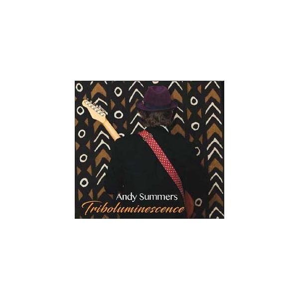 【発売日：2025年12月05日】ご注文後のキャンセル・返品は承れません。発売日:2025年12月05日/商品ID:4571502/ジャンル:ROCK/POP/フォーマット:LP/構成数:2/レーベル:Flickering Shadow/ア...