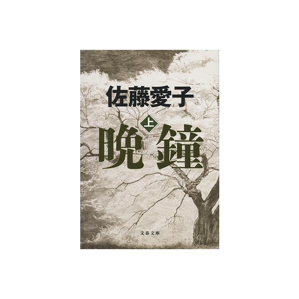 【発売日：2017年09月05日】ご注文後のキャンセル・返品は承れません。発売日:2017年09月05日/商品ID:4591170/ジャンル:DOMESTIC BOOKS/フォーマット:Book/構成数:1/レーベル:文藝春秋/アーティスト...