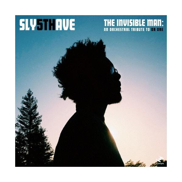 【発売日：2017年11月17日】ご注文後のキャンセル・返品は承れません。発売日:2017年11月17日/商品ID:4623630/ジャンル:SOUL/CLUB/RAP/フォーマット:CD/構成数:1/レーベル:Tru Thoughts/ア...