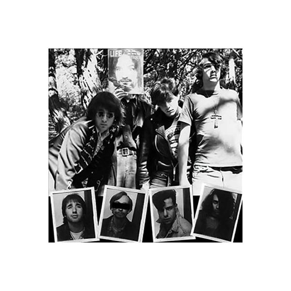 【発売日：2020年02月29日】ご注文後のキャンセル・返品は承れません。発売日:2020年02月29日/商品ID:4633916/ジャンル:ROCK/POP/フォーマット:LP/構成数:2/レーベル:Greedy Records/アーティ...