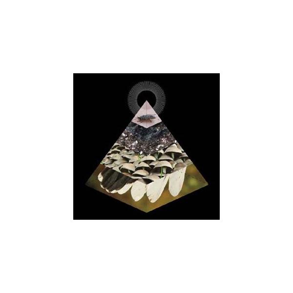 【発売日：2018年01月16日】ご注文後のキャンセル・返品は承れません。発売日:2018年01月16日/商品ID:4645271/ジャンル:ROCK/POP/フォーマット:CD/構成数:1/レーベル:Vendetta Records/アー...