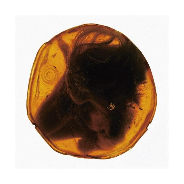 【発売日：2018年04月18日】ご注文後のキャンセル・返品は承れません。発売日:2018年04月18日/商品ID:4695103/ジャンル:J-POP/フォーマット:CD/構成数:1/レーベル:cutting edge/アーティスト:ja...