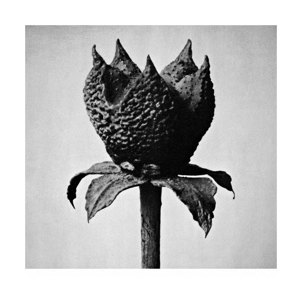 【発売日：2018年07月27日】ご注文後のキャンセル・返品は承れません。発売日:2018年07月27日/商品ID:4745236/ジャンル:SOUL/CLUB/RAP/フォーマット:CD/構成数:1/レーベル:Erased Tapes/ア...