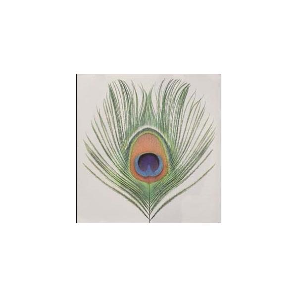 【発売日：2018年10月26日】ご注文後のキャンセル・返品は承れません。発売日:2018年10月26日/商品ID:4786918/ジャンル:ROCK/POP/フォーマット:LP/構成数:1/レーベル:Ape House Ltd./アーティ...