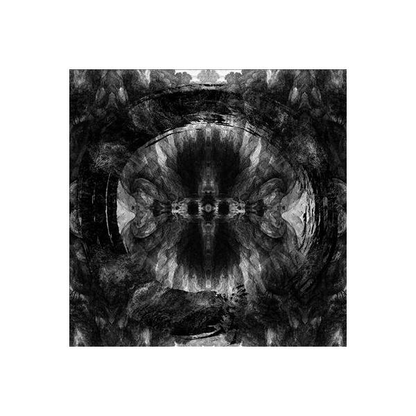 【発売日：2018年11月09日】ご注文後のキャンセル・返品は承れません。発売日:2018年11月09日/商品ID:4814543/ジャンル:ROCK/POP/フォーマット:LP/構成数:1/レーベル:Epitaph/Ada/アーティスト:...