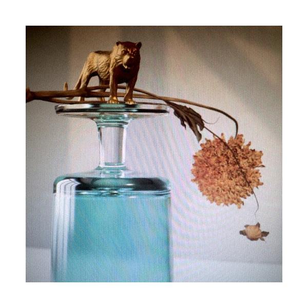 【発売日：2019年02月01日】ご注文後のキャンセル・返品は承れません。発売日:2019年02月01日/商品ID:4823702/ジャンル:ROCK/POP/フォーマット:CD/構成数:1/レーベル:4AD/アーティスト:Beirut/ア...