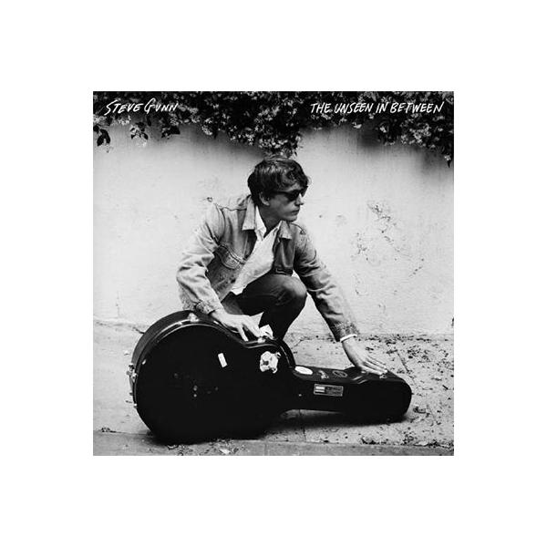 【発売日：2019年01月18日】ご注文後のキャンセル・返品は承れません。発売日:2019年01月18日/商品ID:4828595/ジャンル:ROCK/POP/フォーマット:LP/構成数:1/レーベル:Matador/アーティスト:Stev...